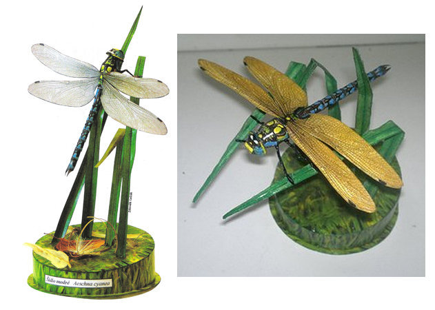 Dragonfly - Kit168 - Shop Đồ Chơi Mô Hình Giấy Papercraft Toy