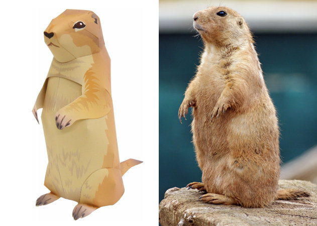 Prairie Dog - Kit168 - Shop Đồ Chơi Mô Hình Giấy Papercraft Toy