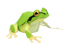 Tree frog - Kit168 - Shop Đồ Chơi Mô Hình Giấy Papercraft Toy