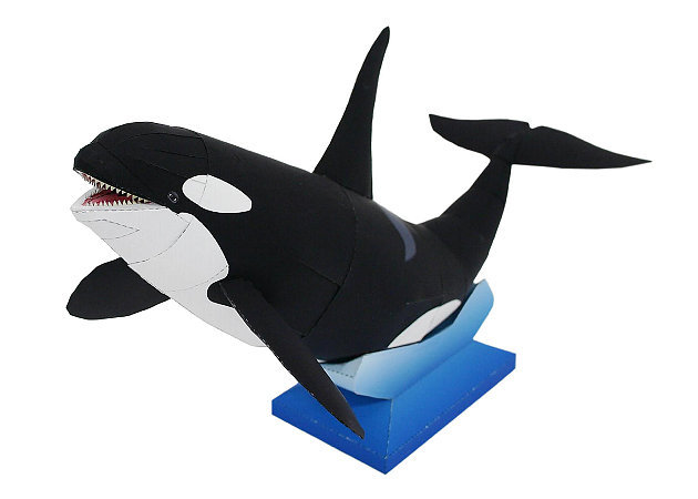 Orca - Kit168 - Shop Đồ Chơi Mô Hình Giấy Papercraft Toy