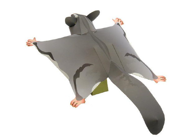 Sóc bay - Kit168 - Shop Đồ Chơi Mô Hình Giấy Papercraft Toy