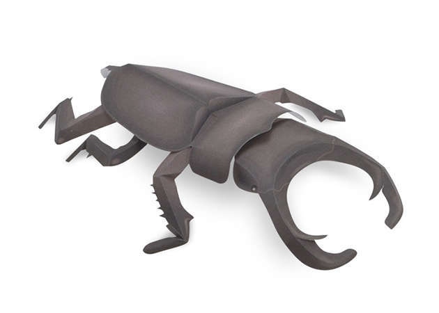 Insects - Atlas beetle & Stag beetle - Kit168 - Shop Đồ Chơi Mô Hình ...